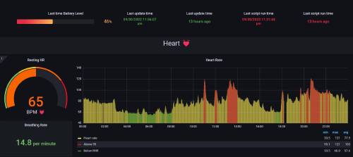 Fitbit dashboard setup | Arpan's Website